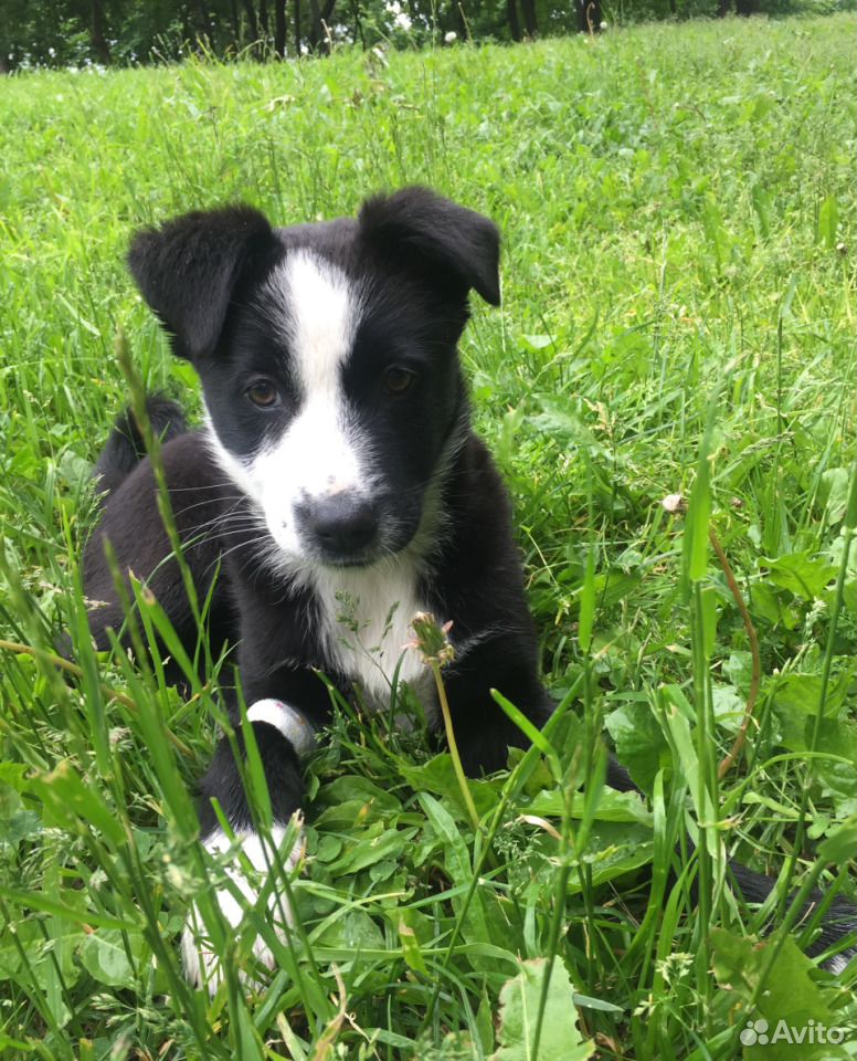 Малышка Марта