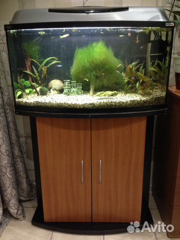 Аквариум
