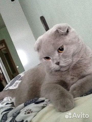 Вязка