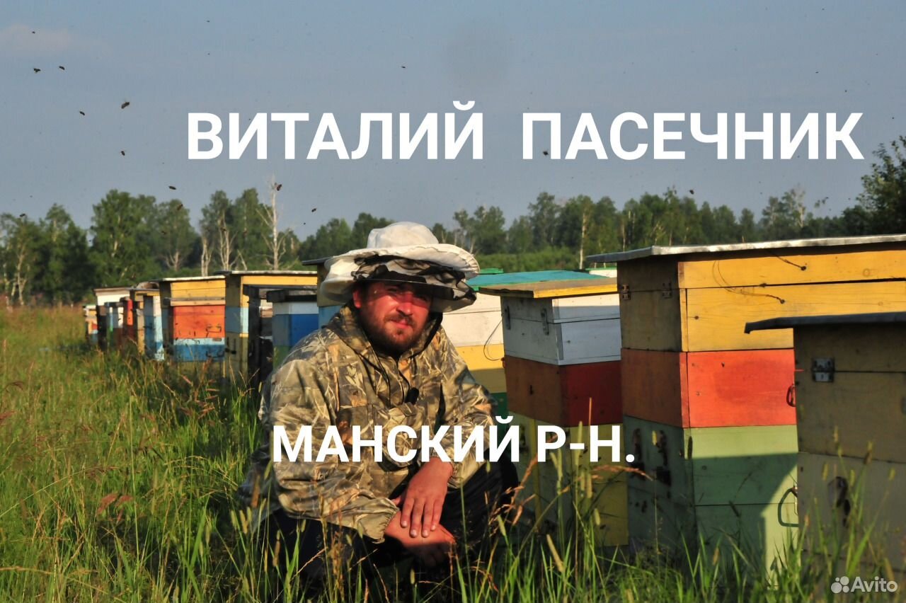 Пчелопакеты,пчелосемьи