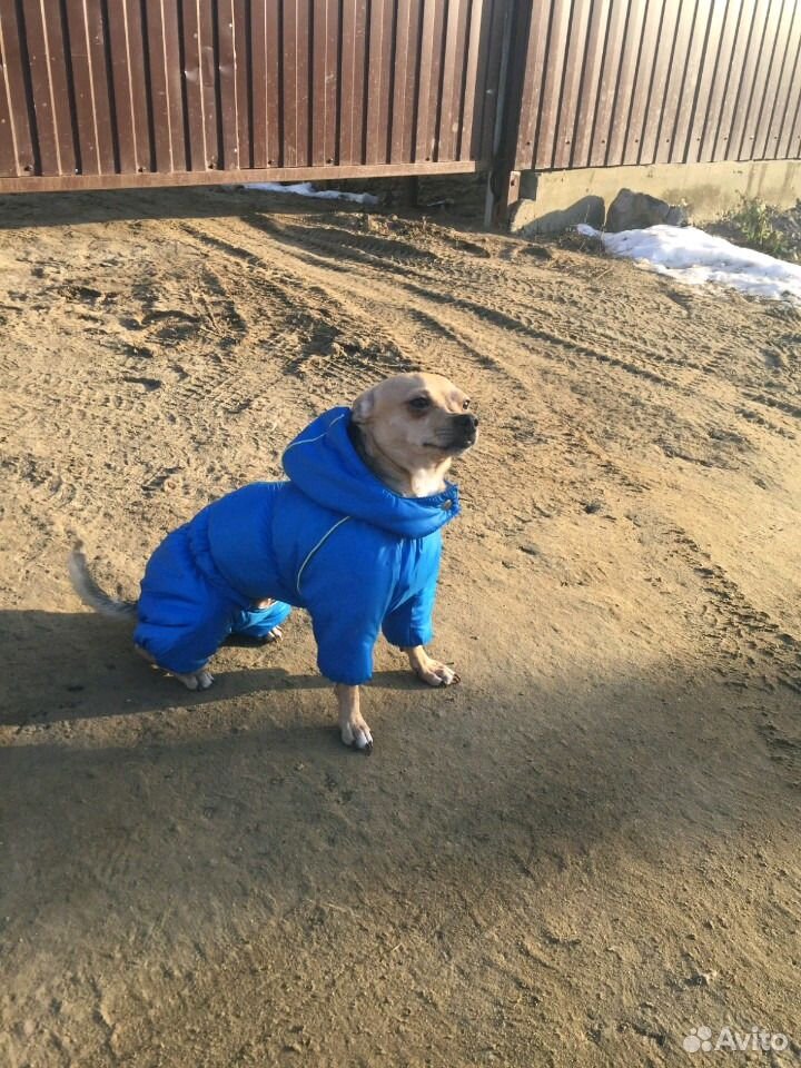 Вязка