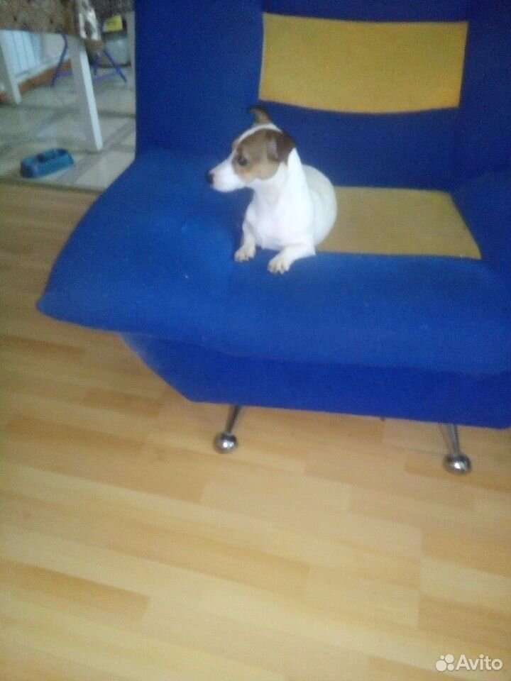 Девочка Джека