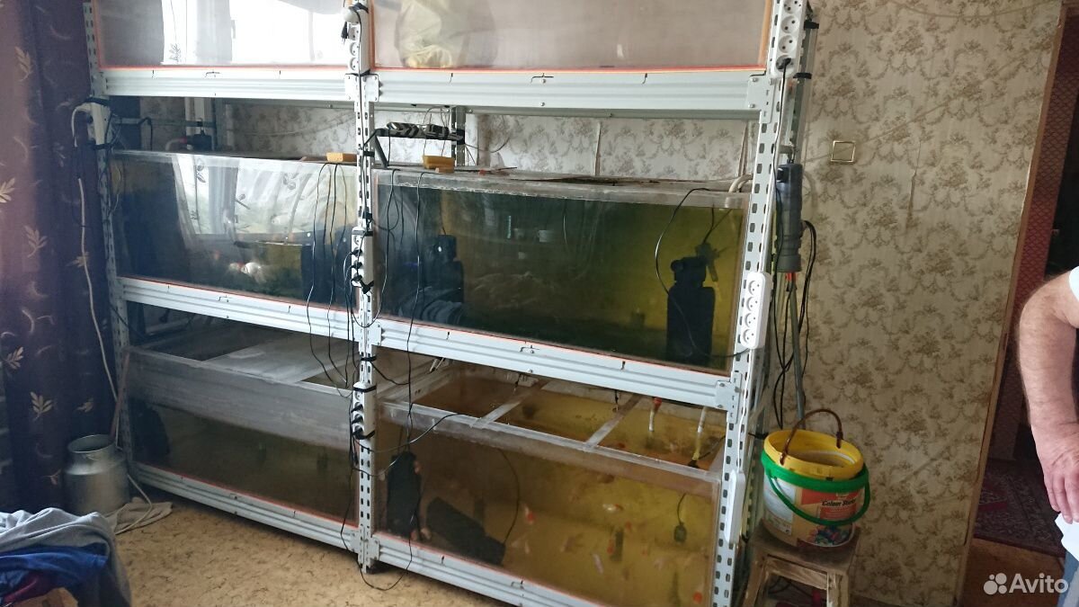 Аквариумы, Стелажи в подарок