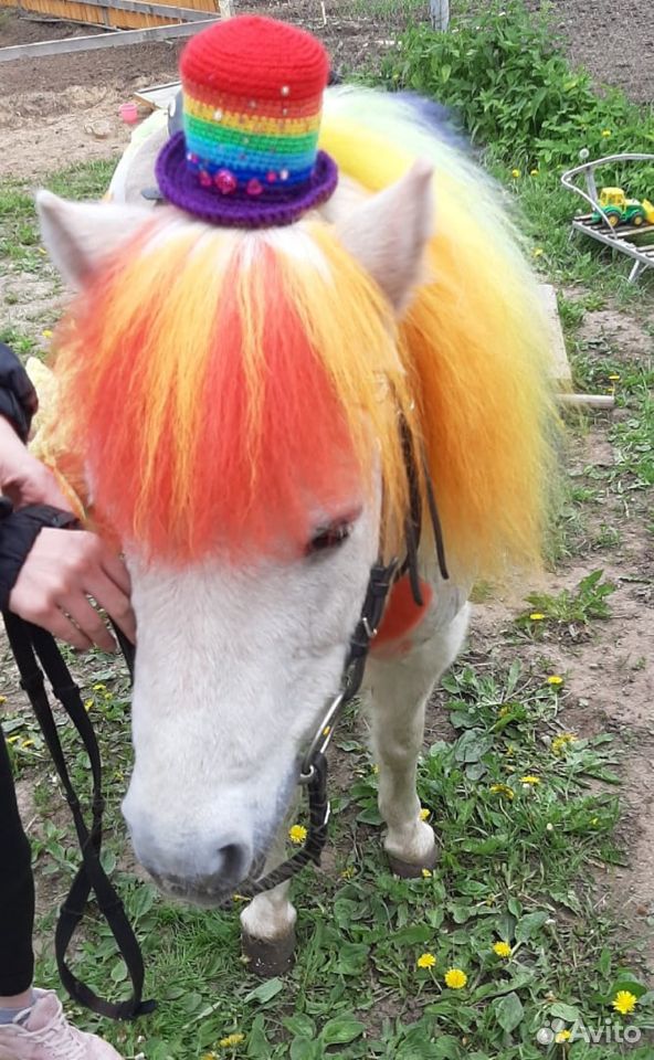 Лошадь пони амуниция на заказ