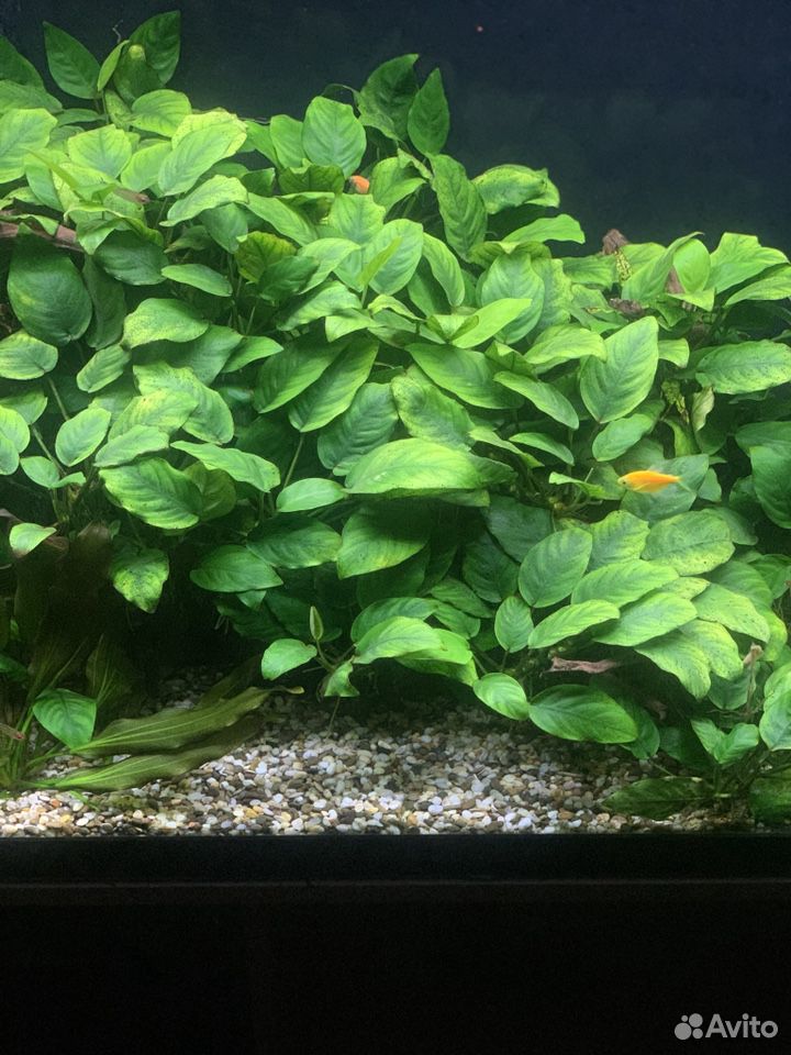 LED светодиодный светильник для аквариума