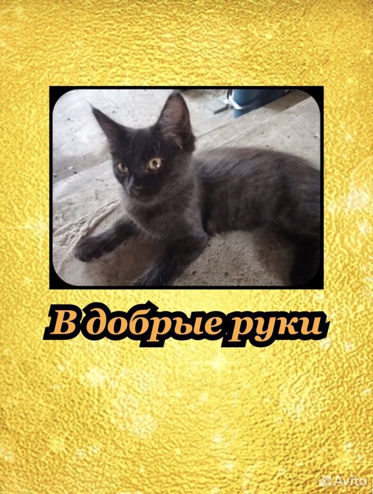 Чудесный ребёнок в поисках дома