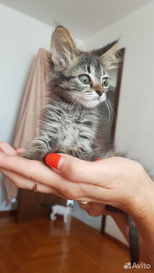 Маленькая кнопочка в надежные руки