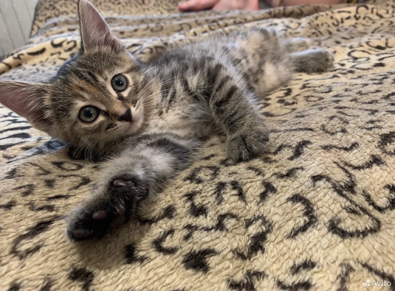 Отдадим малышку в добрые,заботливые руки