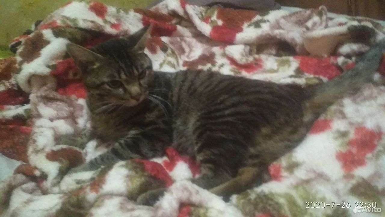 Кузьма Сеньор - в добрые, ответственные руки