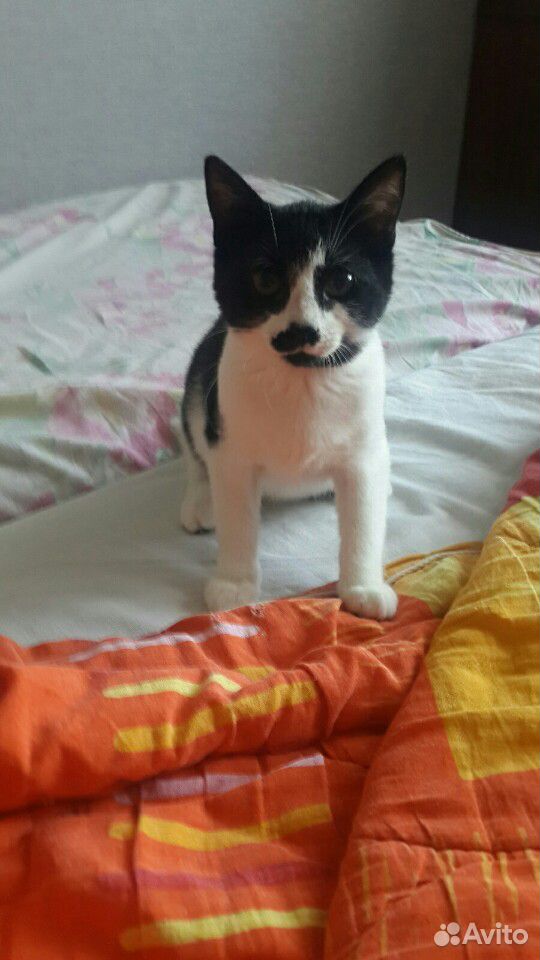 Самая необычная девочка по имени Миа