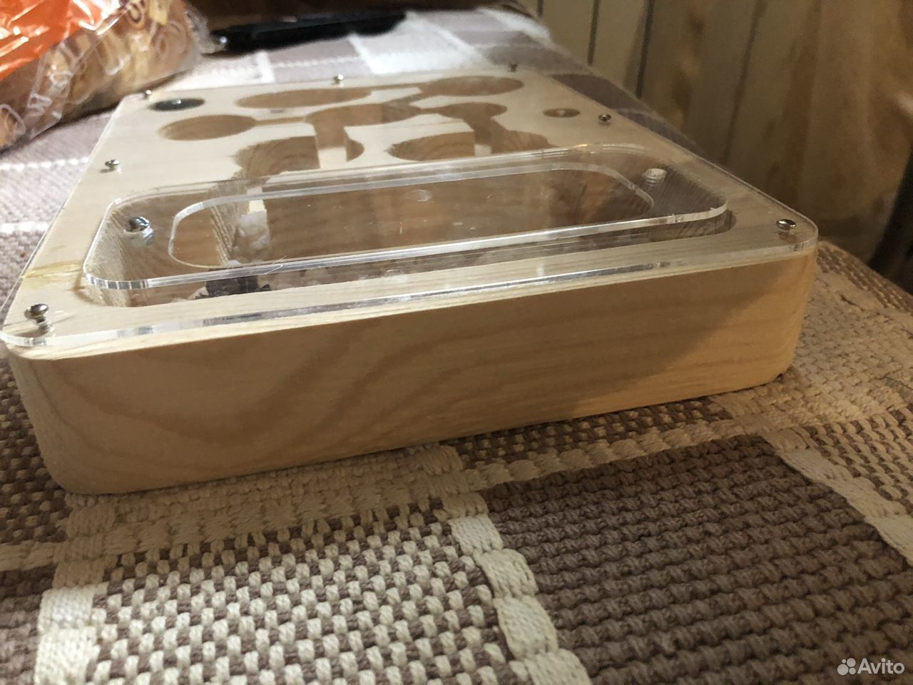 Муравьиная ферма