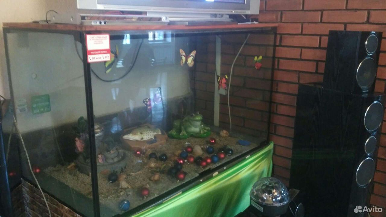 Аквариум