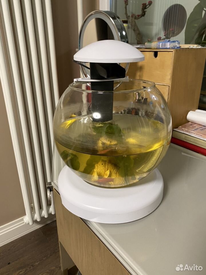 Аквариум и две золоты рыбки и корм впридачу