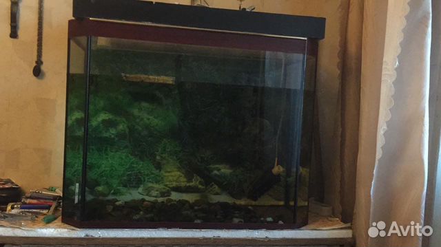 Аквариум 120 л