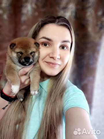 Девочки Сибы