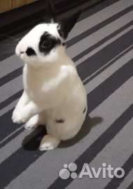 Кролик на вязку