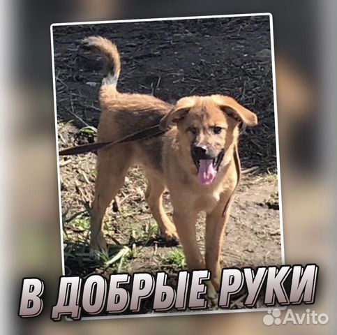 Бусинка в добрые руки