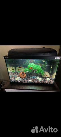 Аквариум на 50л полный комплект. с Рыбкамы