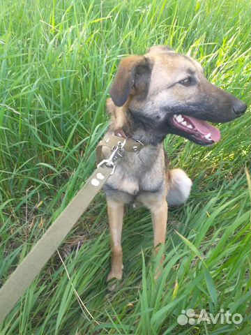 Супер охранница