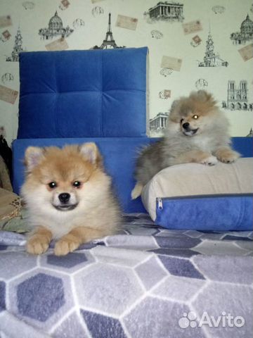 Озорные малыши