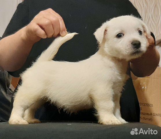 Снеговичок