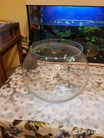 Аквариум (ваза) шар