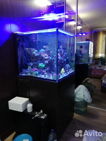 Морской аквариум