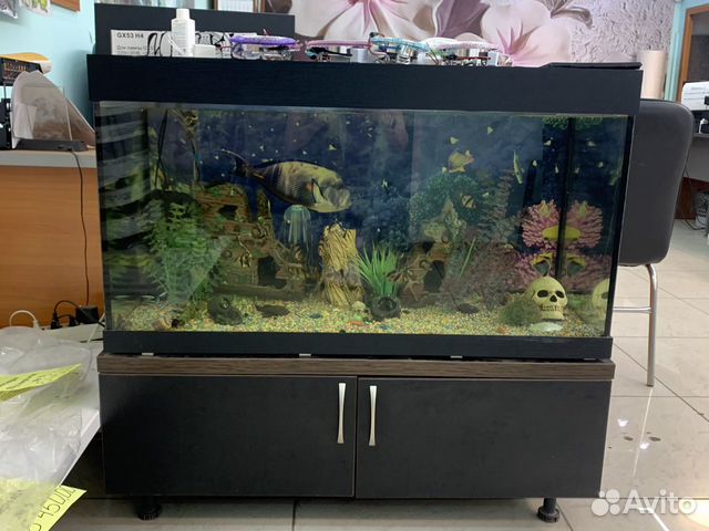 Продам аквариум 250л