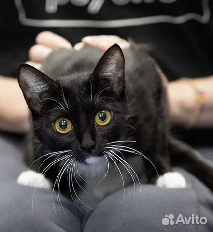 Варенька,5 месяцев