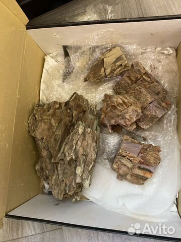 Камни дракона