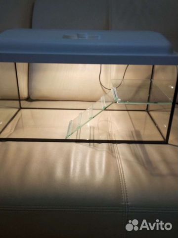 Черепашник