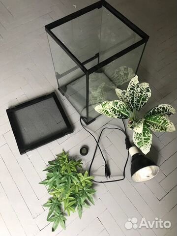 Террариум для бананоеда