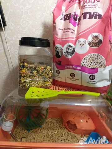 Хомяк с клеткой