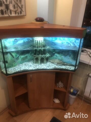 Аквариум 120 литров с тумбой, фильтром и рыбками