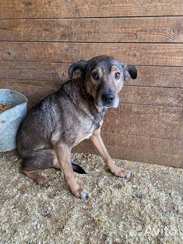 У них Надежда только на нас