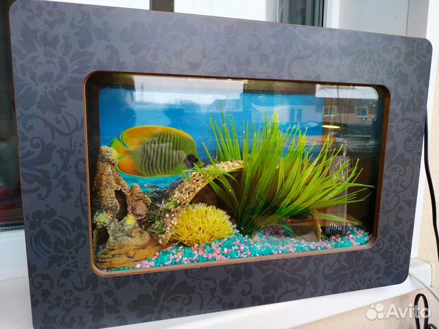 Дизайнерский аквариум - террариум