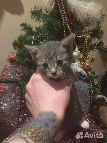 Предпоследняя новогодняя плюшка