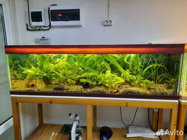 Стекла для аквариума