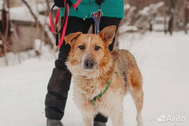 Неделька в поисках счастья