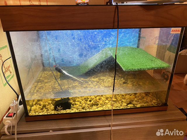 Аквариум для черепах 100 литров с черепахой