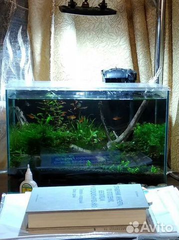 Аквариум 15 литров