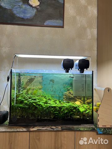 Аквариум Juwel Primo 70 черный