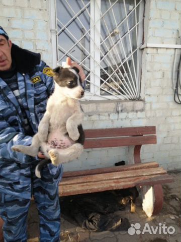 Выберите себе друга