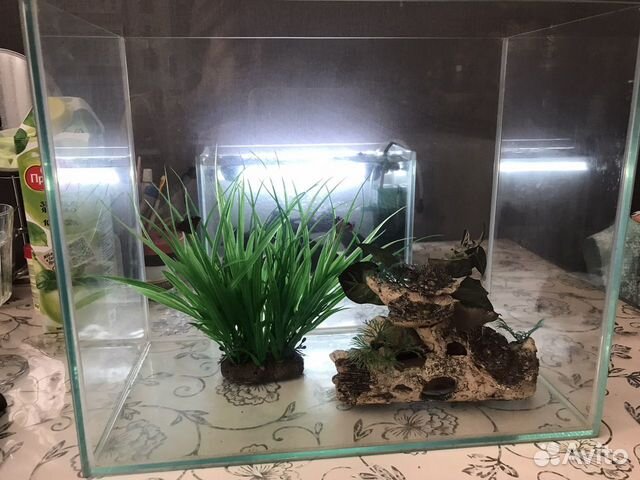 Аквариум 19 л