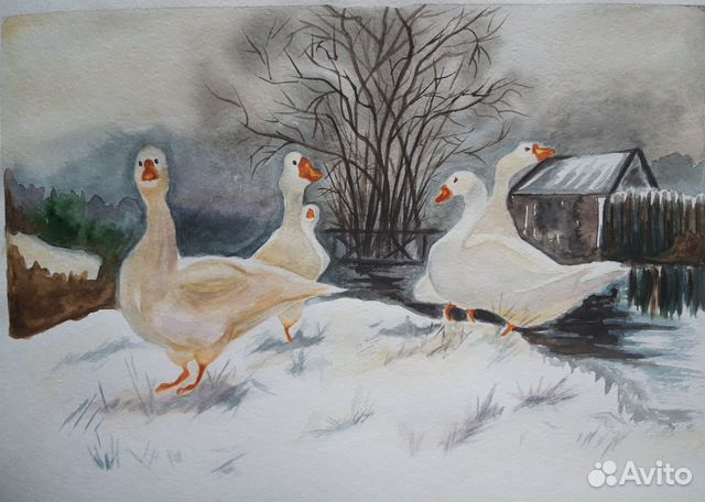 Зима и гуси