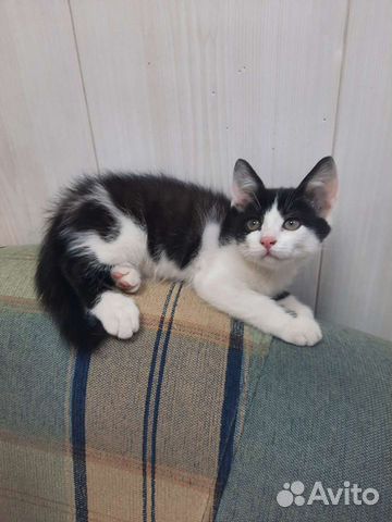 Меня выкинули в лесу умирать