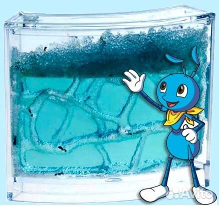 Формикарий.Муравьиная ферма гелевая.Набор. Муравьи