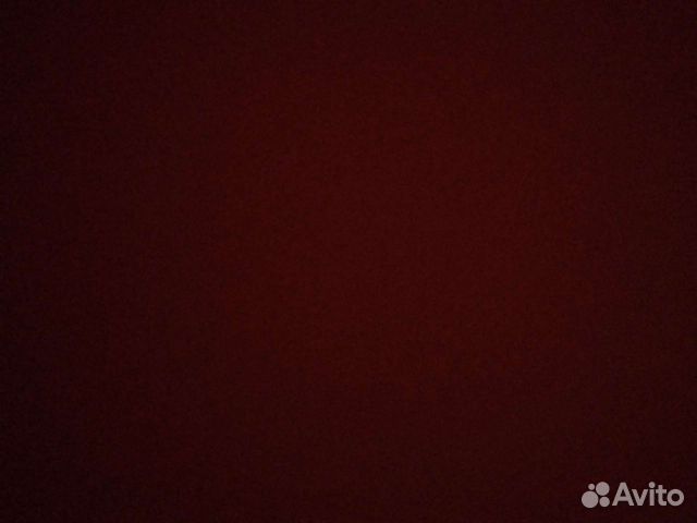 Продаю тёлки