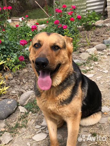 Кабель для вязки