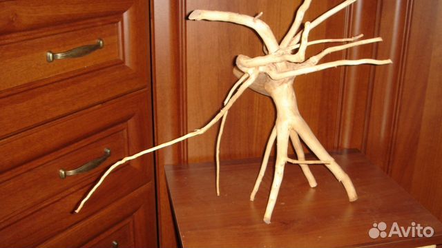 Коряги
